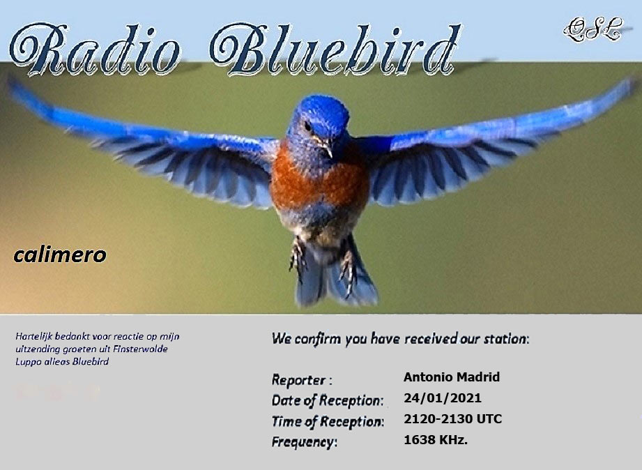 Recibida E-QSL de Radio Bluebird – El Radioescucha